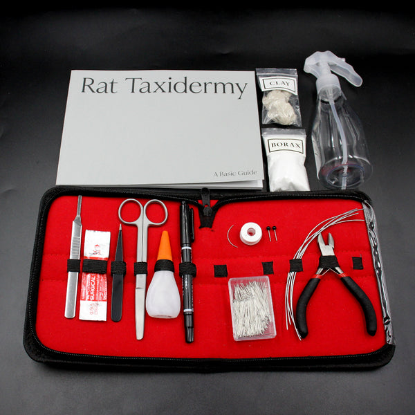 Rat Taxidermy Kit & Book - Rest in Pieces