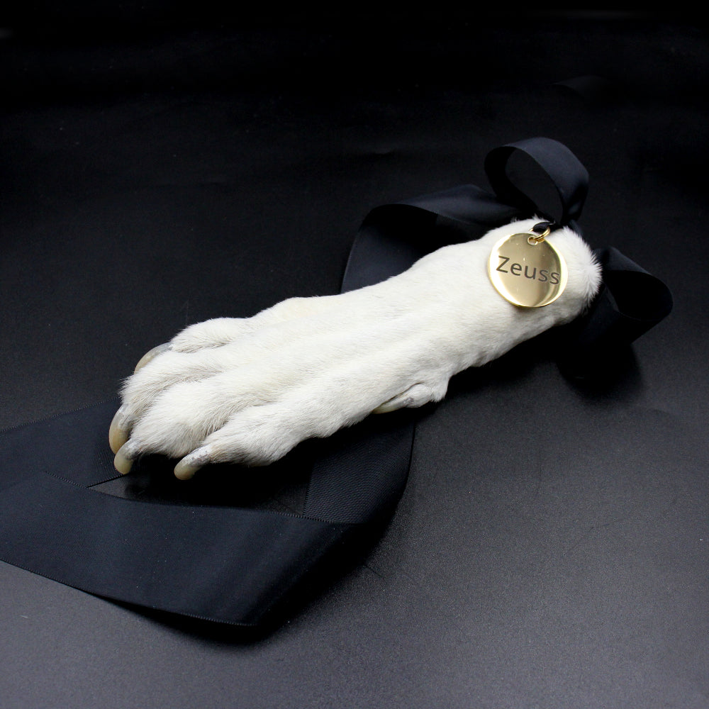 The Memoriam - Rest in Pieces