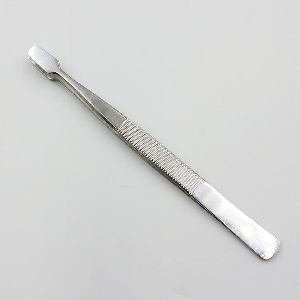 Insect Preservation Supplies - Rest in Pieces