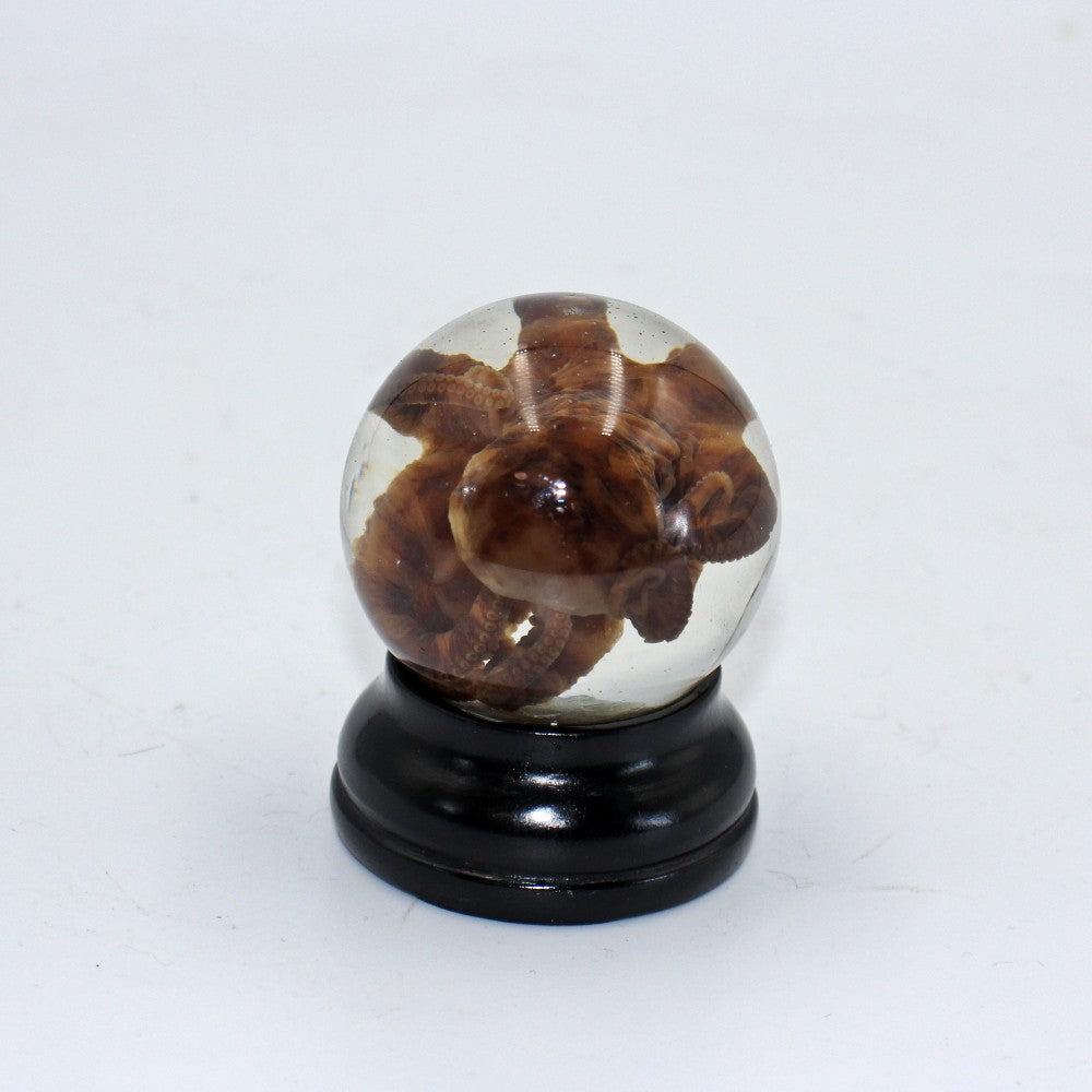 Wet Specimens - Rest in Pieces