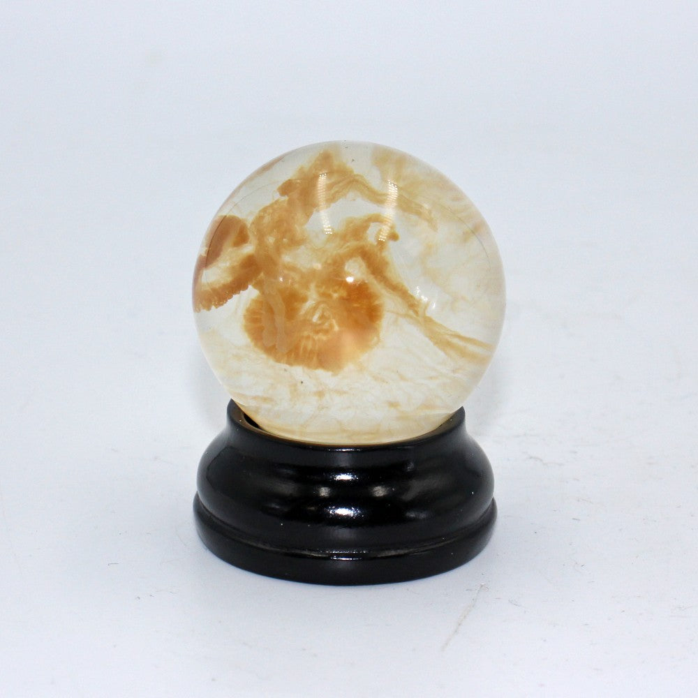Wet Specimens - Rest in Pieces